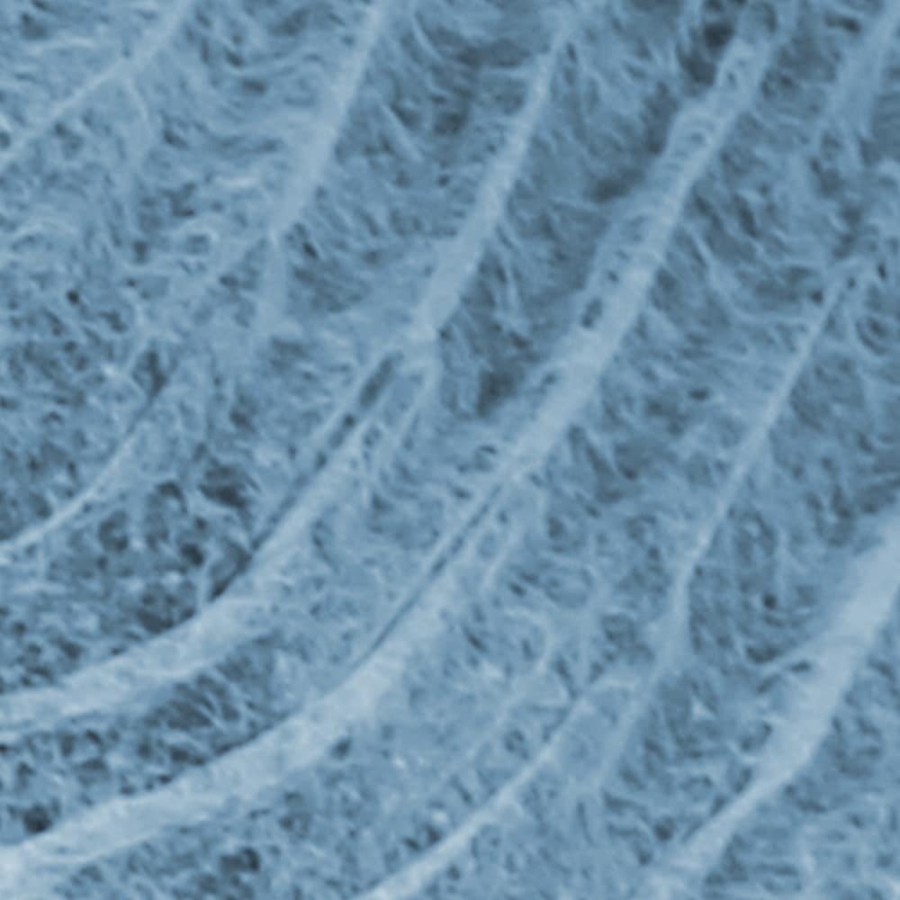 Cofia plisada azul DERMA CARE | Safety Store MX